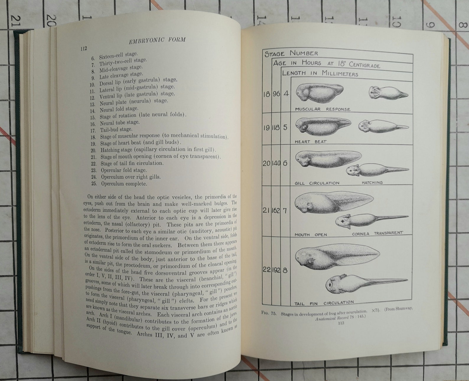 1940s Science Textbook, Introduction to Vertebrate Embryology, Hard ...