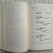 1940s Science Textbook Introduction to Vertebrate Embryology - Etsy