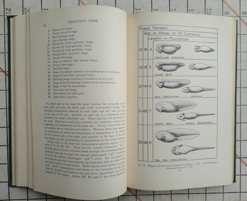 1940s Science Textbook Introduction to Vertebrate Embryology - Etsy