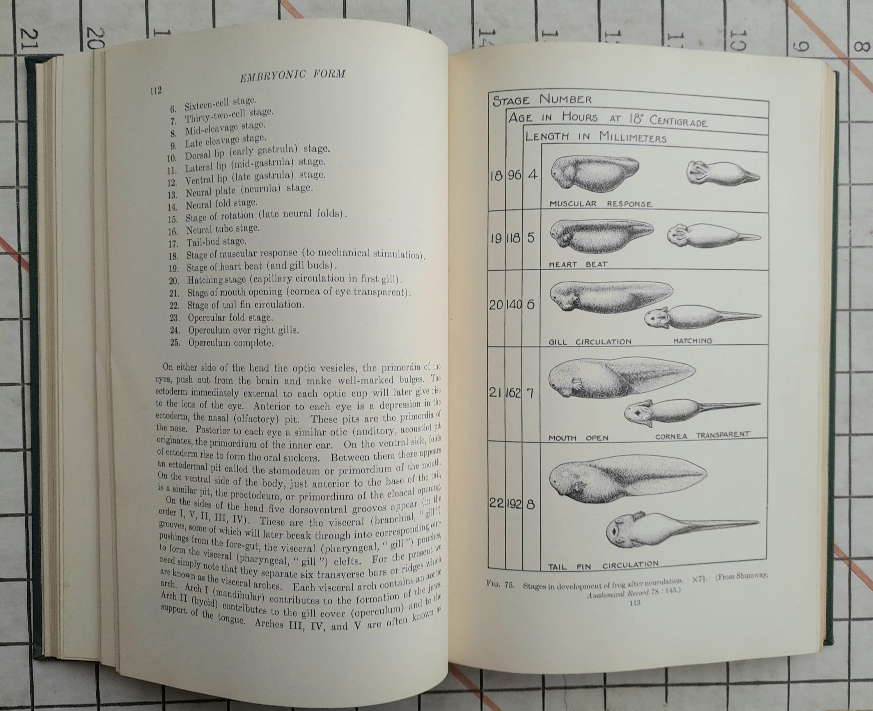 1940s Science Textbook, Introduction to Vertebrate Embryology, Hard ...