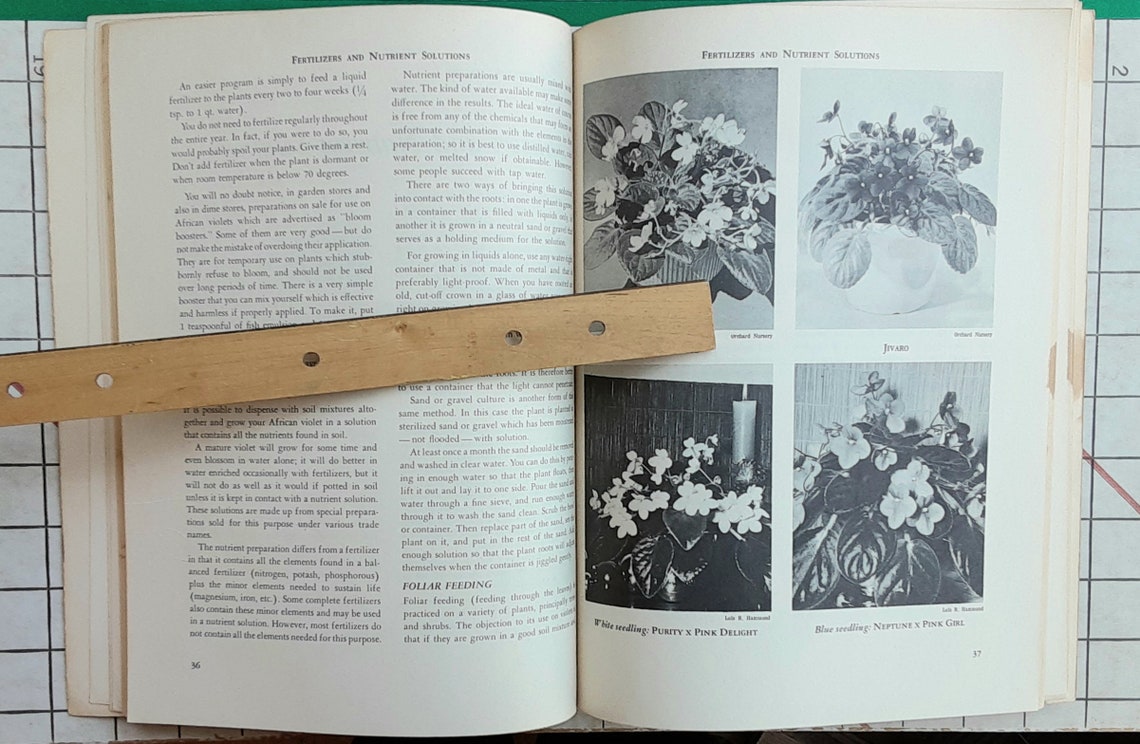 How to Grow African Violets 1950s Softcover Carolyn Rector - Etsy