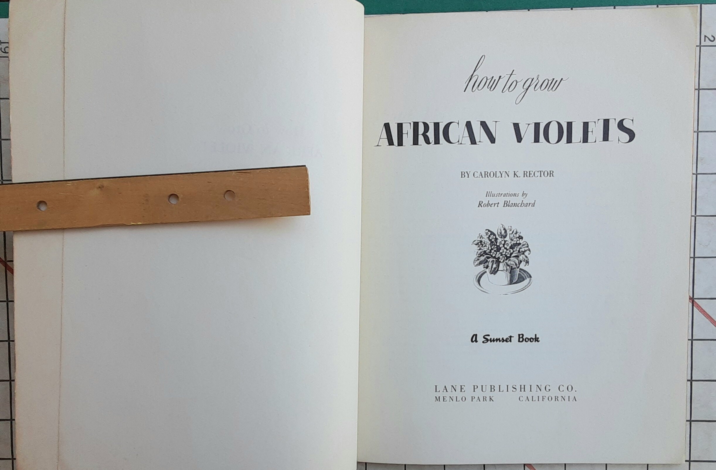 How to Grow African Violets 1950s Softcover Carolyn Rector Photographs Illustrated - Etsy