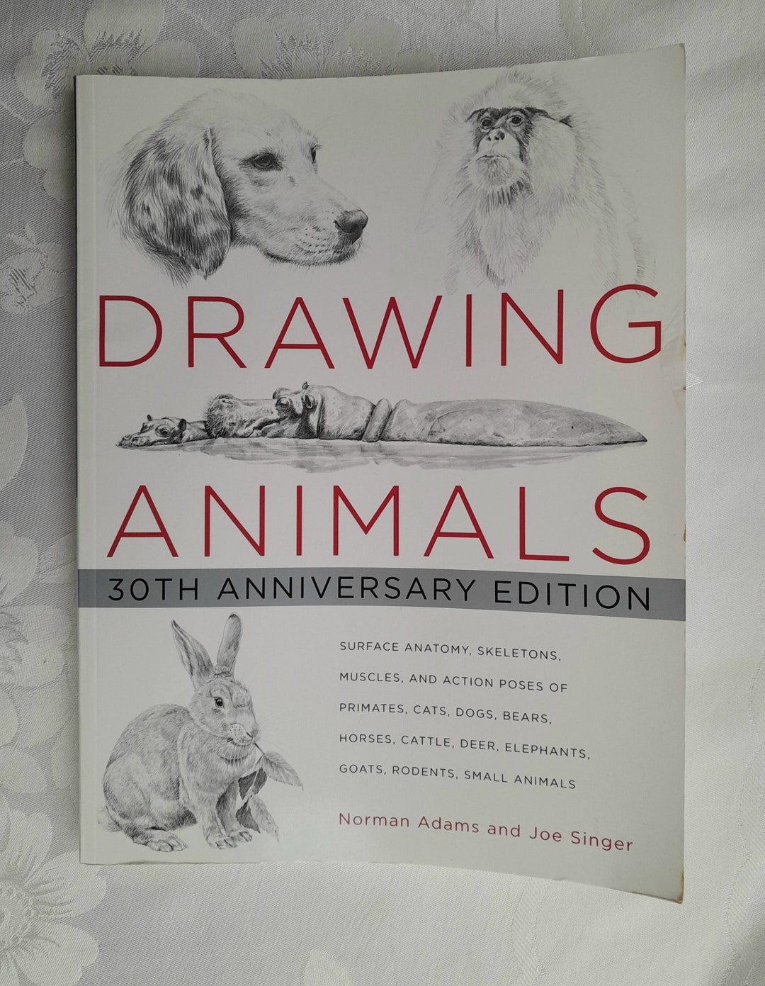 Drawing Animals by Norman Adams & Joe Singer, Softcover Book, 1979 Art ...