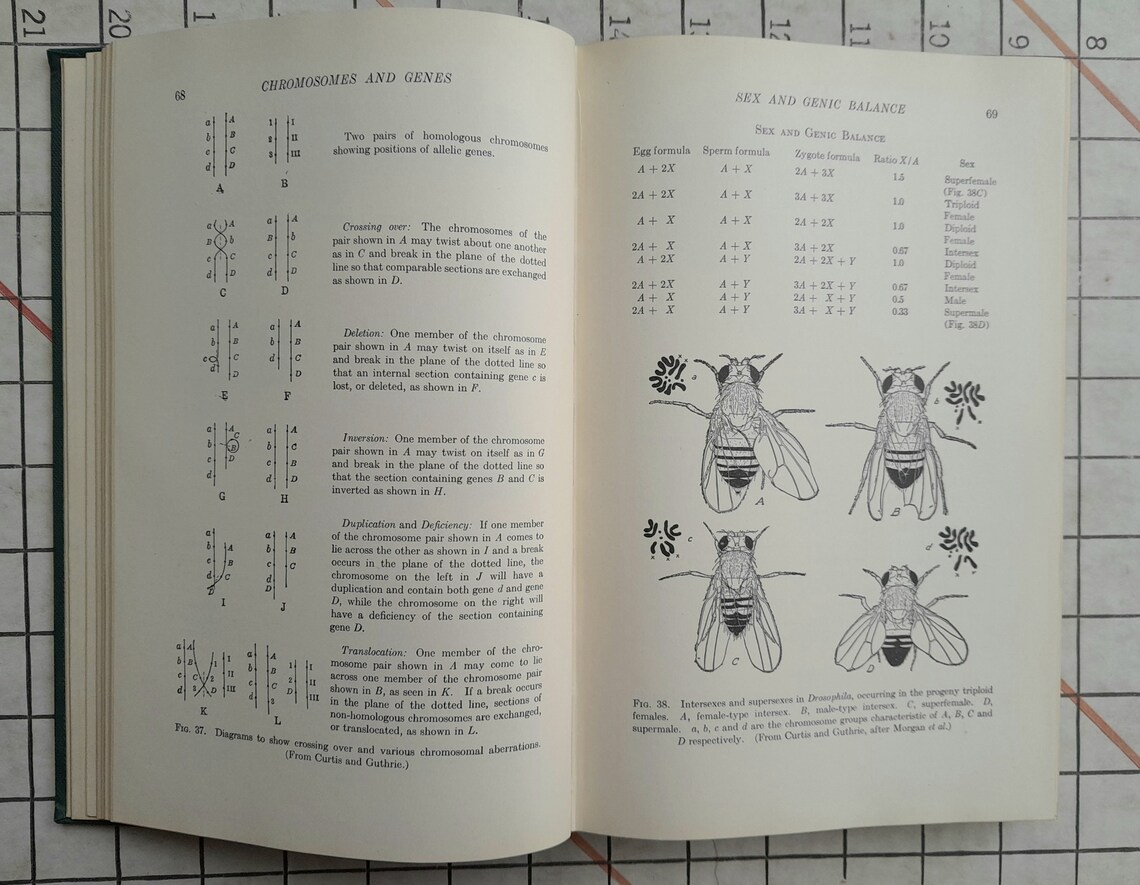 1940s Science Textbook, Introduction to Vertebrate Embryology, Hard ...