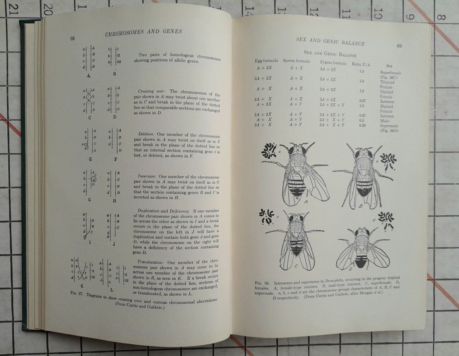 1940s Science Textbook Introduction to Vertebrate Embryology - Etsy