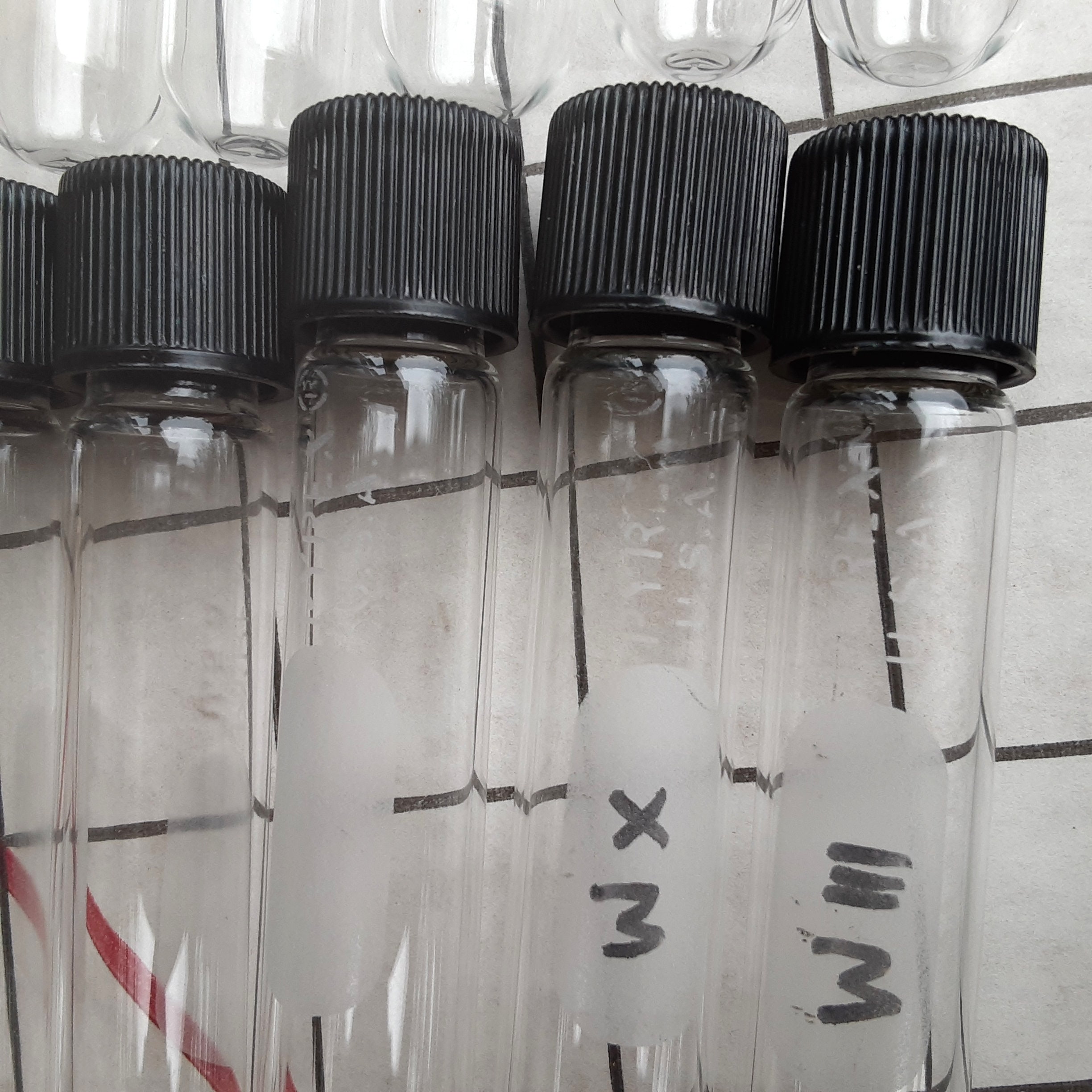 Test Tubes Used Lot of 32 Glass With Caps 28 Pyrex & 4 Kimax 10 Ml USA ...