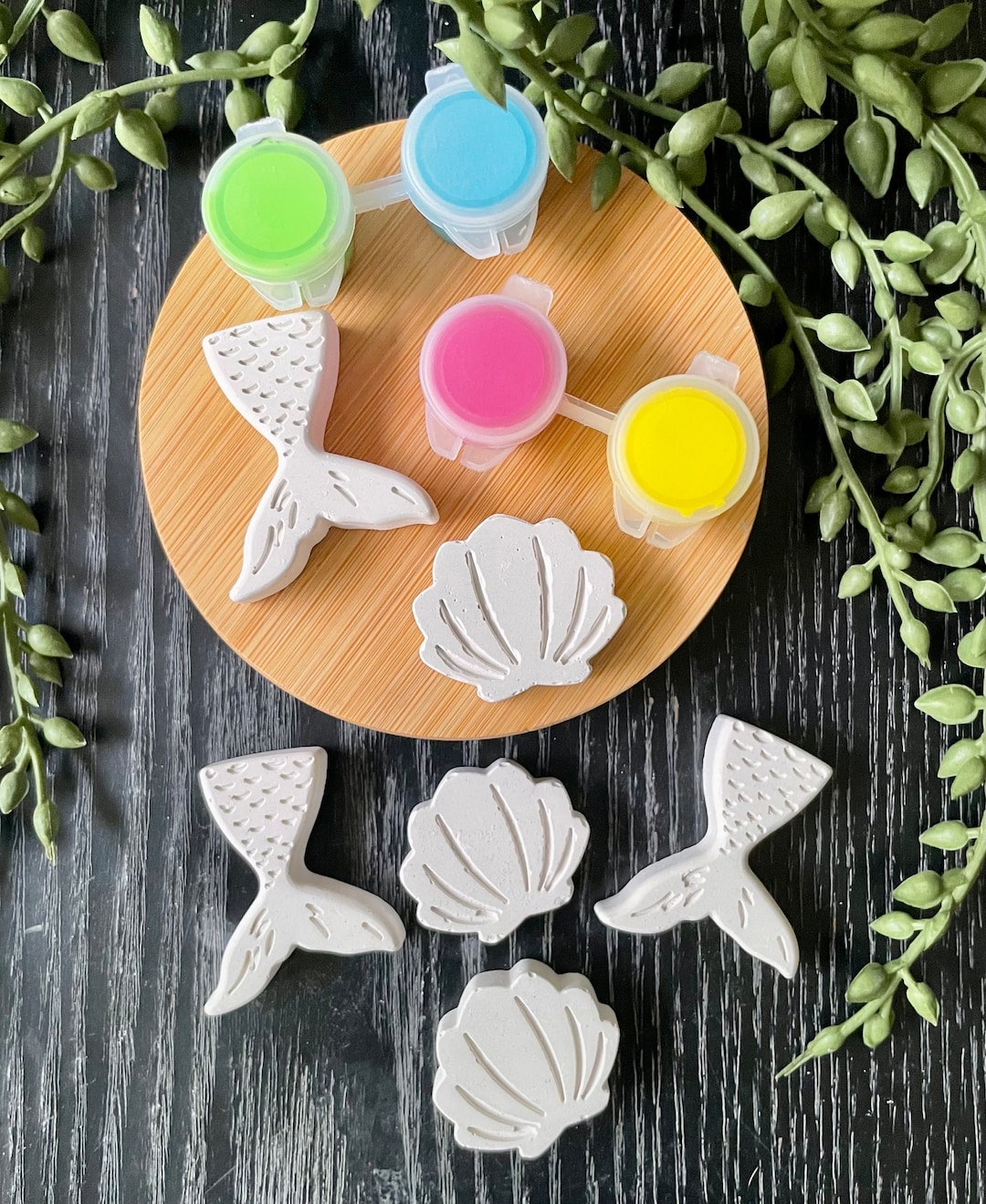 DIY Sea Themed Plaster Magnet Set Paint Your Own Seashell and - Etsy