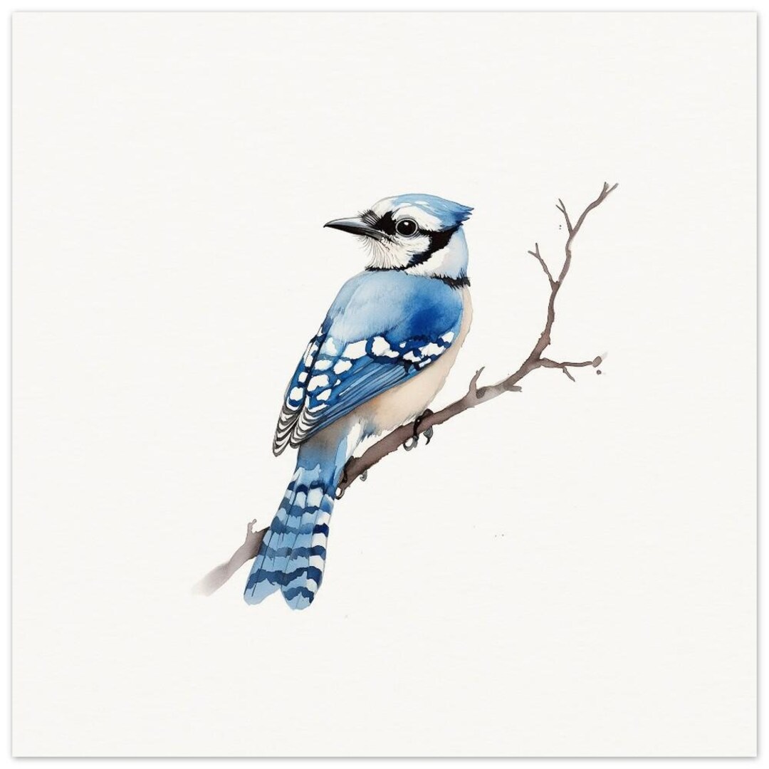 Blue Jay Watercolor Art Print: Archival Quality Decor - Etsy