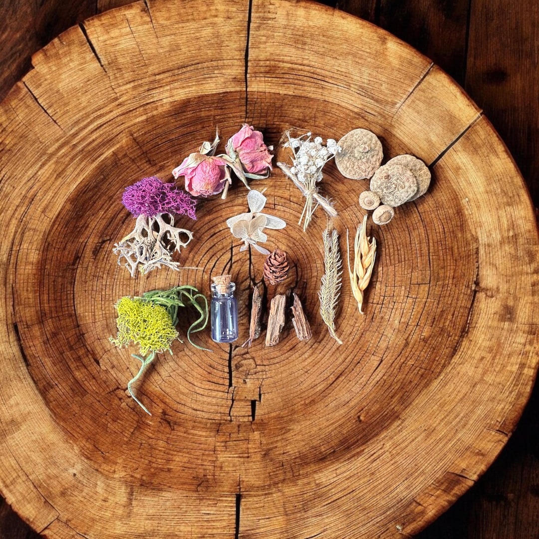 Woodland Pack of Natural Craft Supplies, Acorns, Moss, Dried Flowers ...