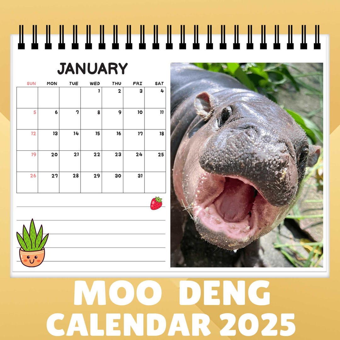 Moo Deng Hippo Calendar 2025: Desk or Wall Calendar - Etsy UK