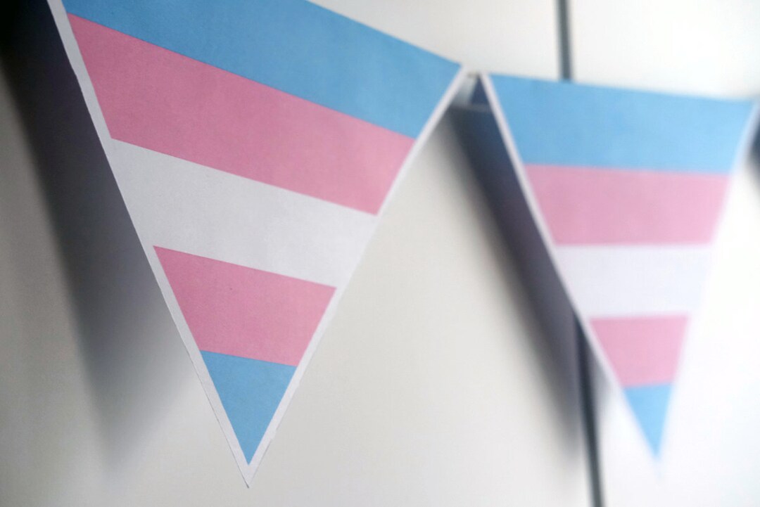 Trans Pride Bunting Flag Triangle Bunting Banner Display - Etsy
