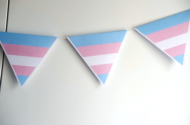 Trans Pride Bunting Flag Triangle Bunting Banner Display - Etsy