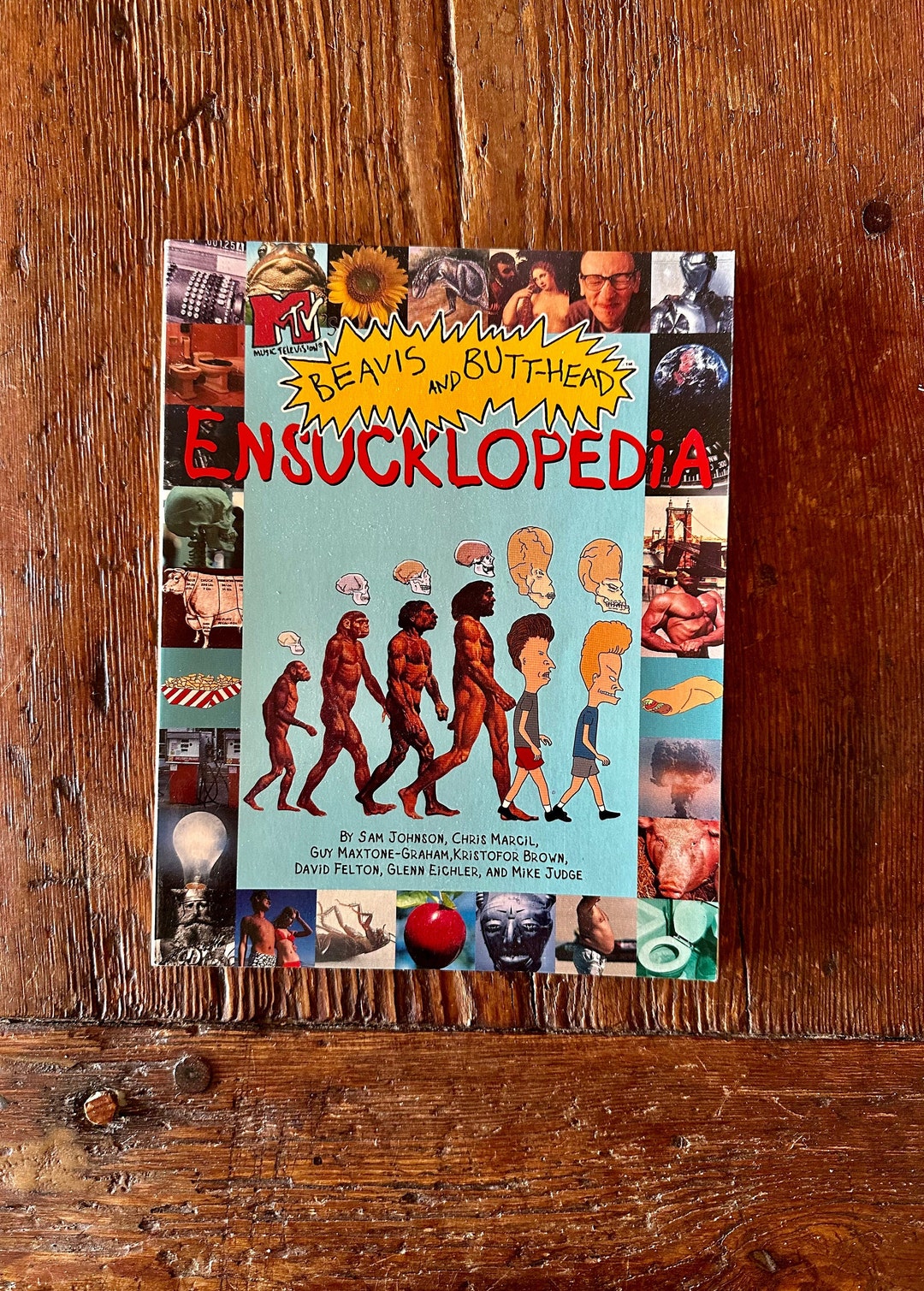 Beavis and Butt-head Ensucklopedia Book Mike Judge Free Gift Wrapping ...