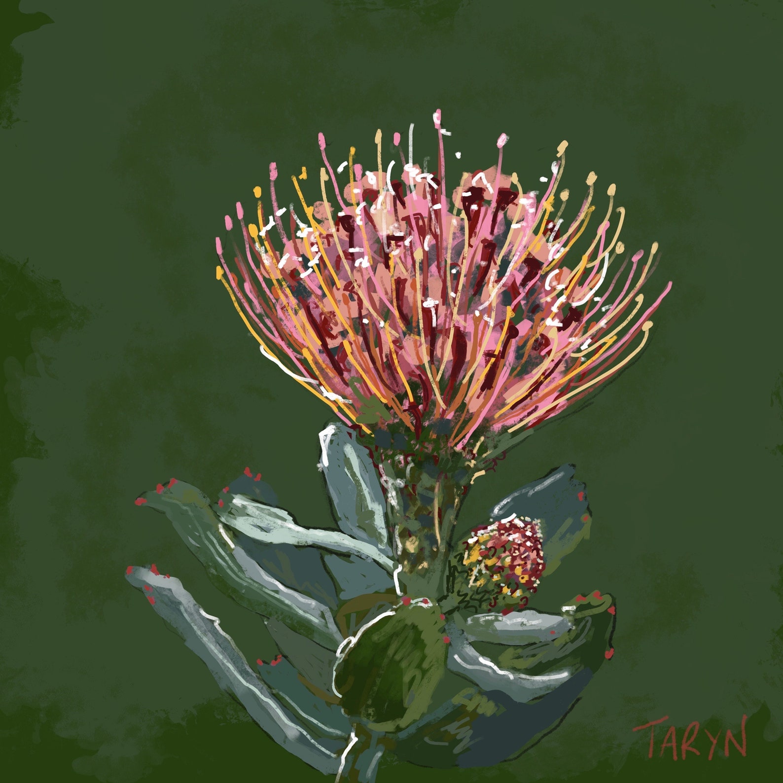 Protea Flower Painting Protea Art Print Protea Painting South African ...