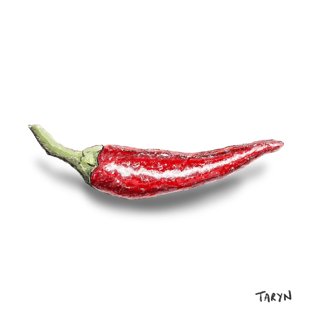 Chili Pepper Art Print Pepper Painting Red Hot Chili Pepper Art Chilli ...
