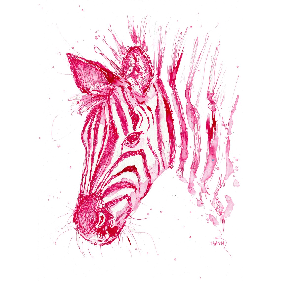 African Zebra Drawing Zebra Ink Drawing Zebra Art Print Pink - Etsy