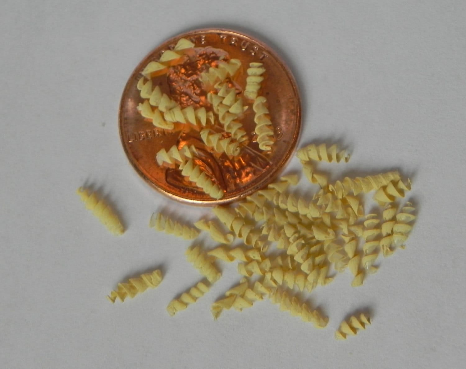 Miniature Rotini Pasta - Etsy