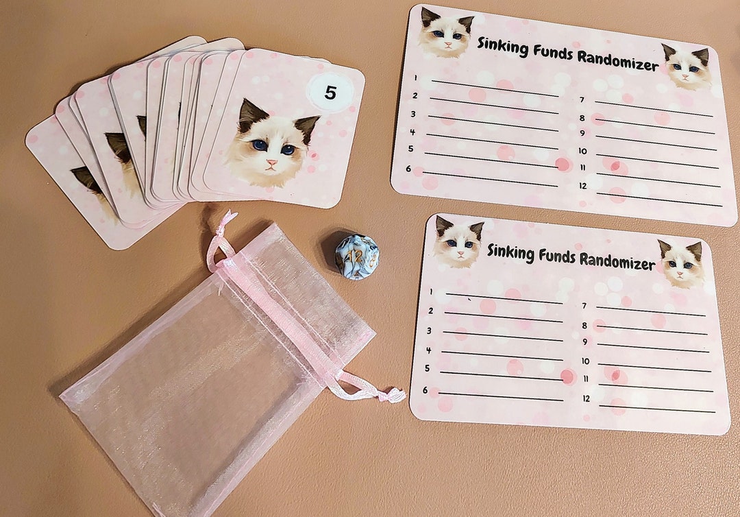 Set of 20 Randomizer Cards for Sinking Funds With A5 and A6 Dashboards ...