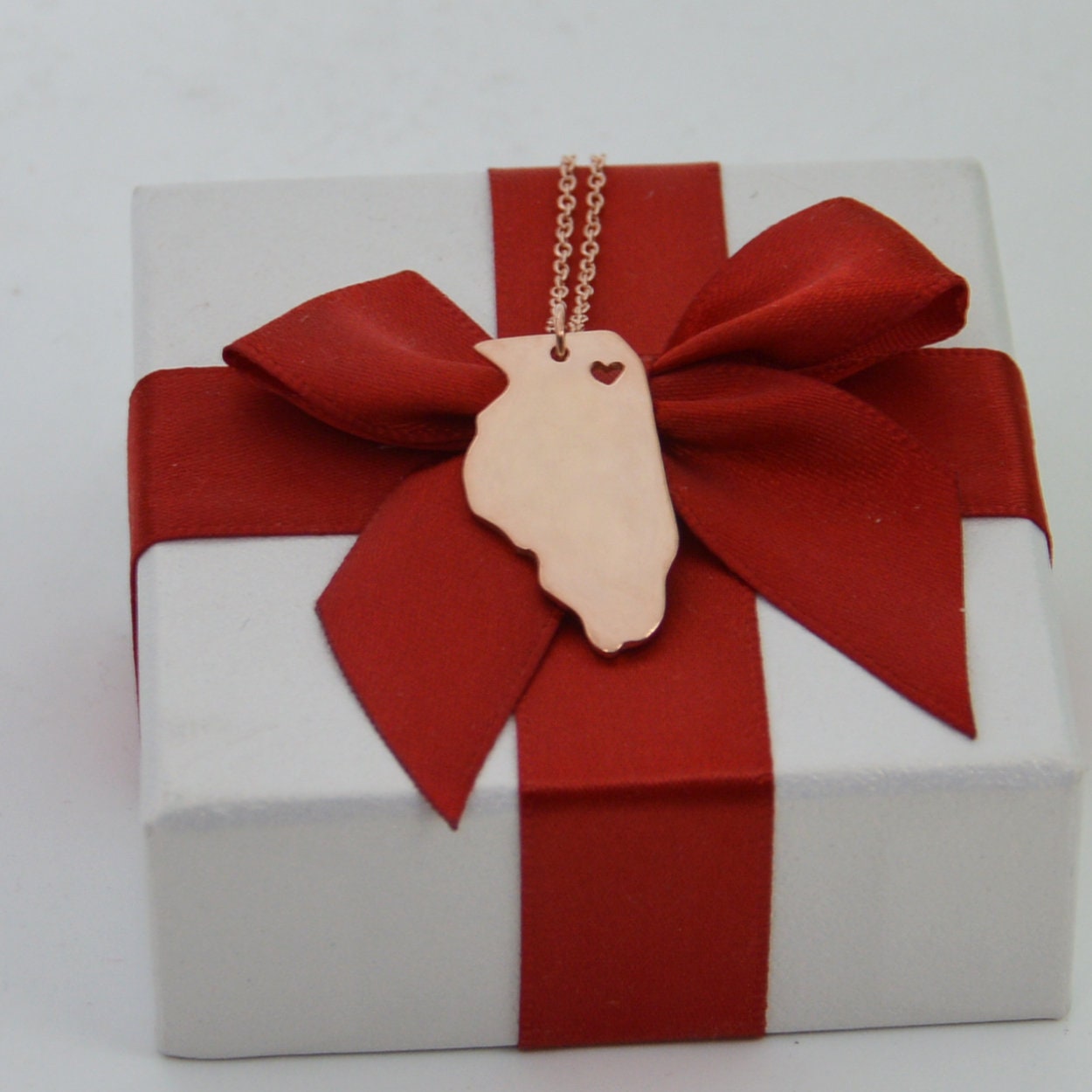 Illinois State Necklace-michigan State Necklace-you Can Order Any State ...