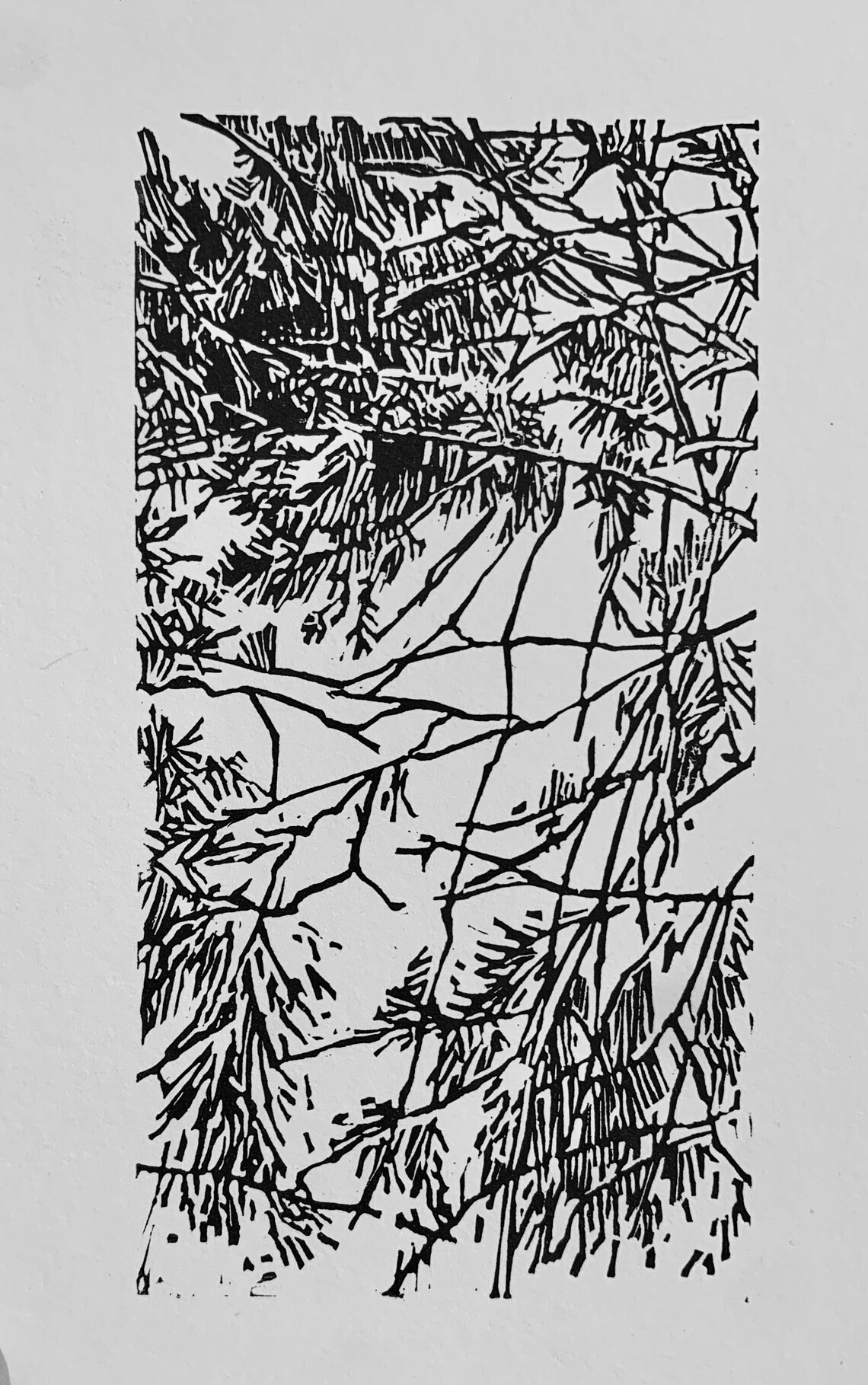 Canopy Single Colour Linocut Print - Etsy