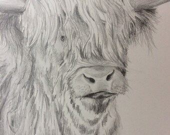 Cow pencil drawing | Etsy