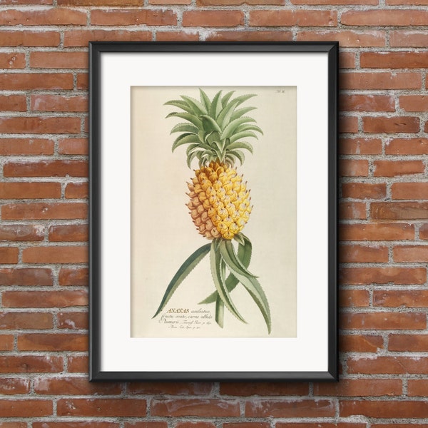 Pineapple Print - Etsy
