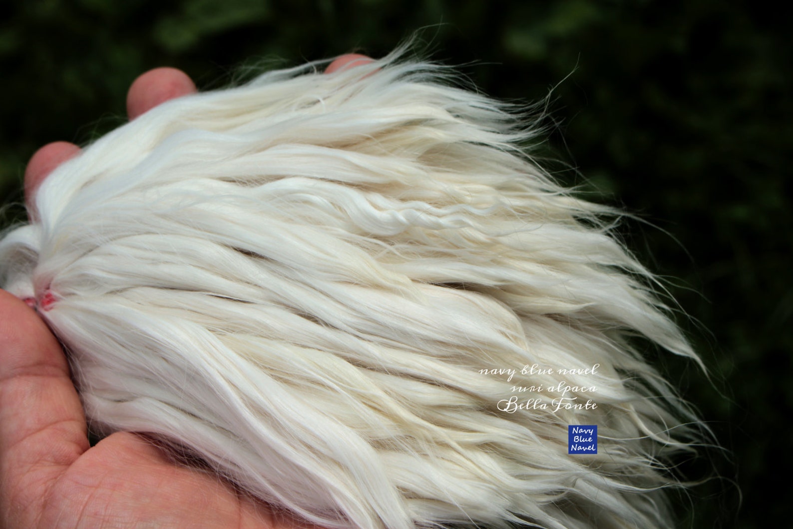 Suri Alpaka Locken 15-15 cm BELLA FONTE naturweißes Puppenhaar, SURI ...