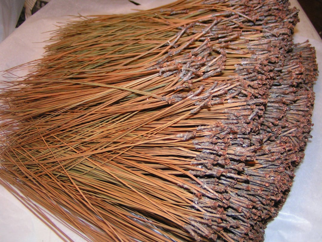3 Lbs Longleaf Pine Needles 9-17 In. for Weaving, Coiling, Gourd Crafts ...