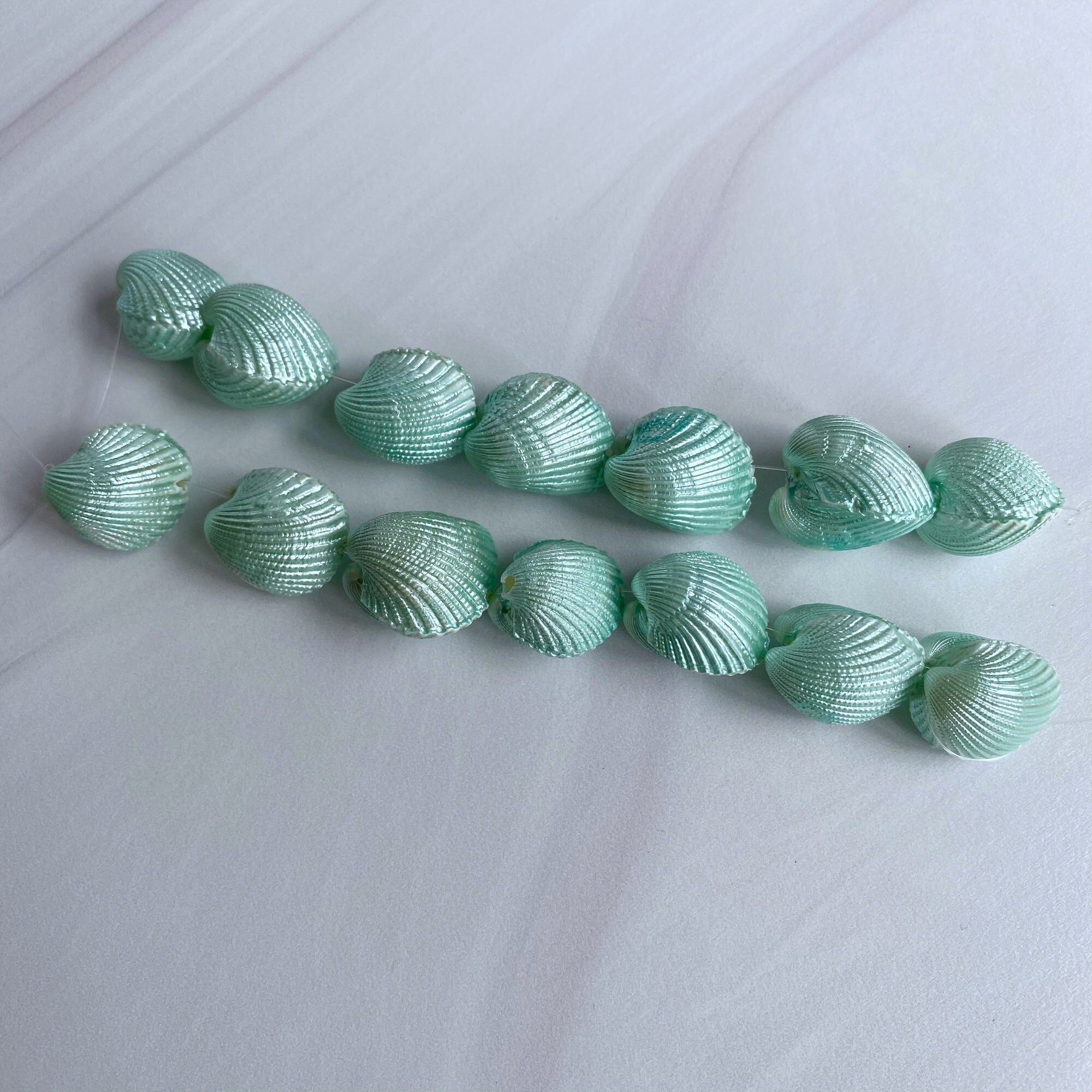 14 pcs Mint Green Ark Shells - Size: 17-20mm - Sold in 9.5 Inches Strand