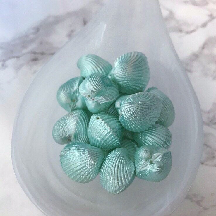14 pcs Mint Green Ark Shells - Size: 17-20mm - Sold in 9.5 Inches Strand