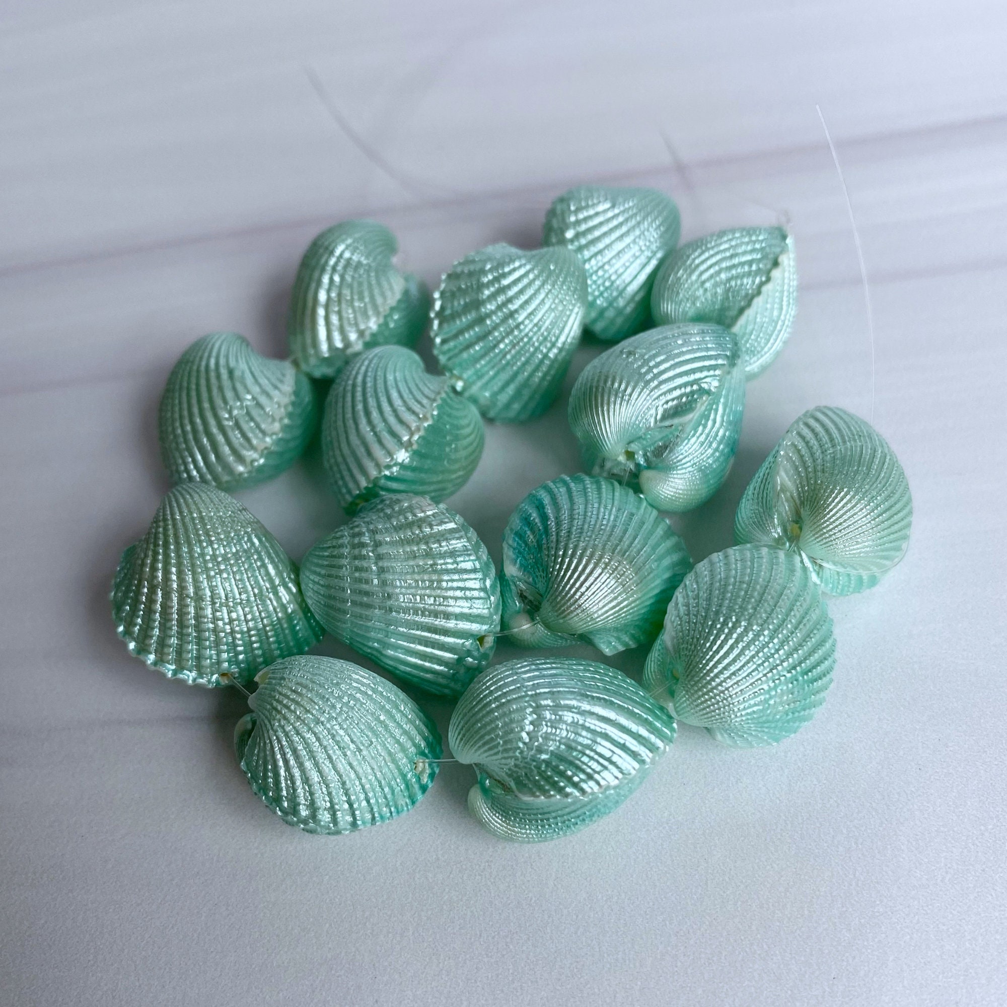 14 pcs Mint Green Ark Shells - Size: 17-20mm - Sold in 9.5 Inches Strand