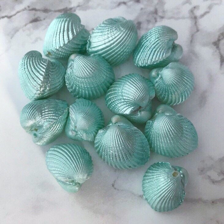 14 pcs Mint Green Ark Shells - Size: 17-20mm - Sold in 9.5 Inches Strand