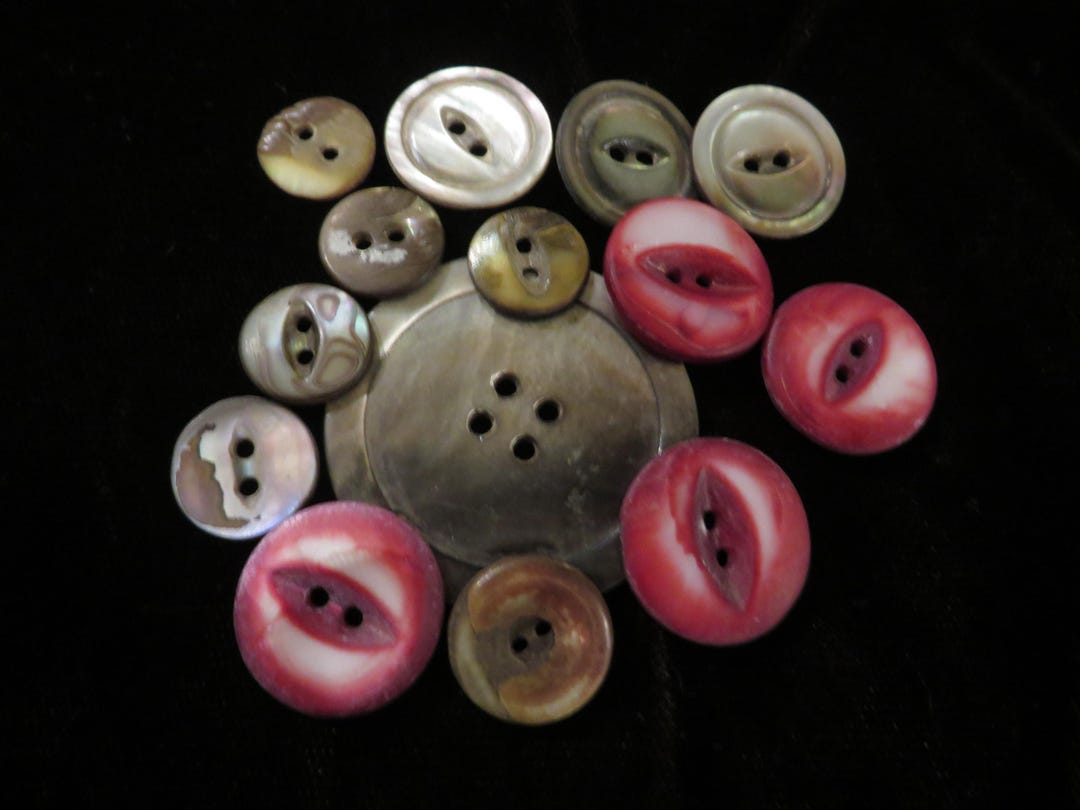 Antique SHELL BUTTONS // Collection of Antique Buttons // 14 Total ...