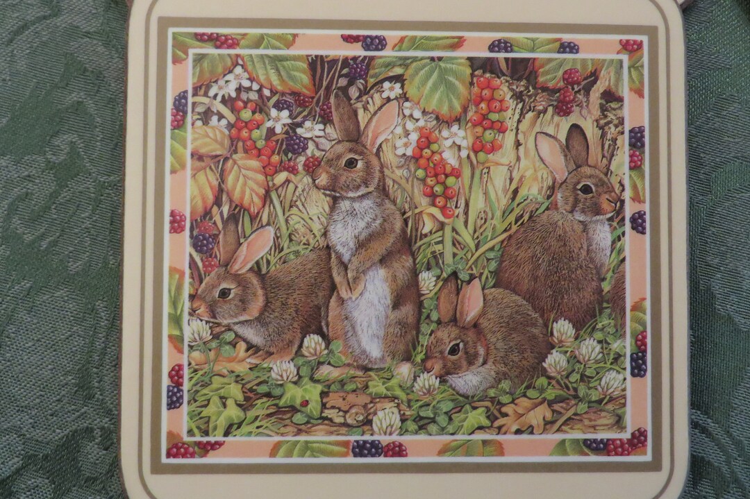 Boxed Coasters Set of 6 "country Rabbits" Made by Pimpernel in England ...
