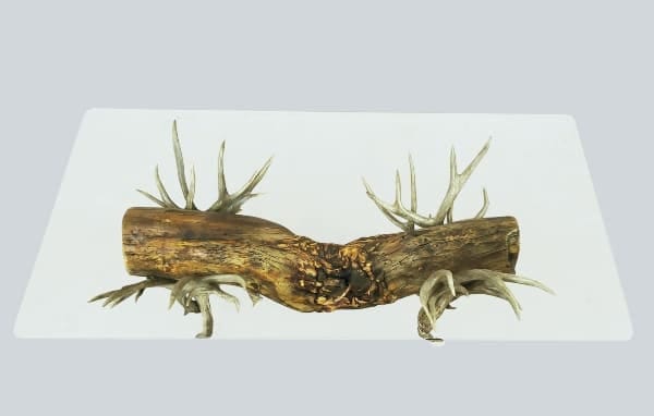 Mule Deer Log Timberline Coffee Table - Etsy