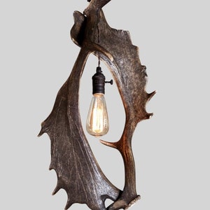 Zapata Falls Fallow Deer Antler Pendant Light - Etsy