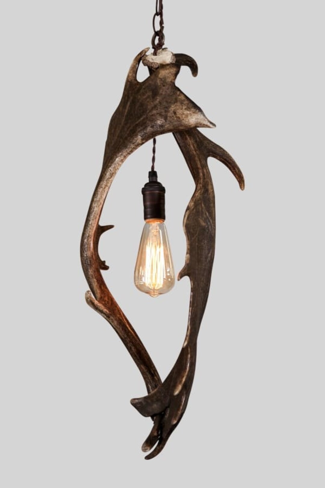 Zapata Falls Fallow Deer Antler Pendant Light - Etsy