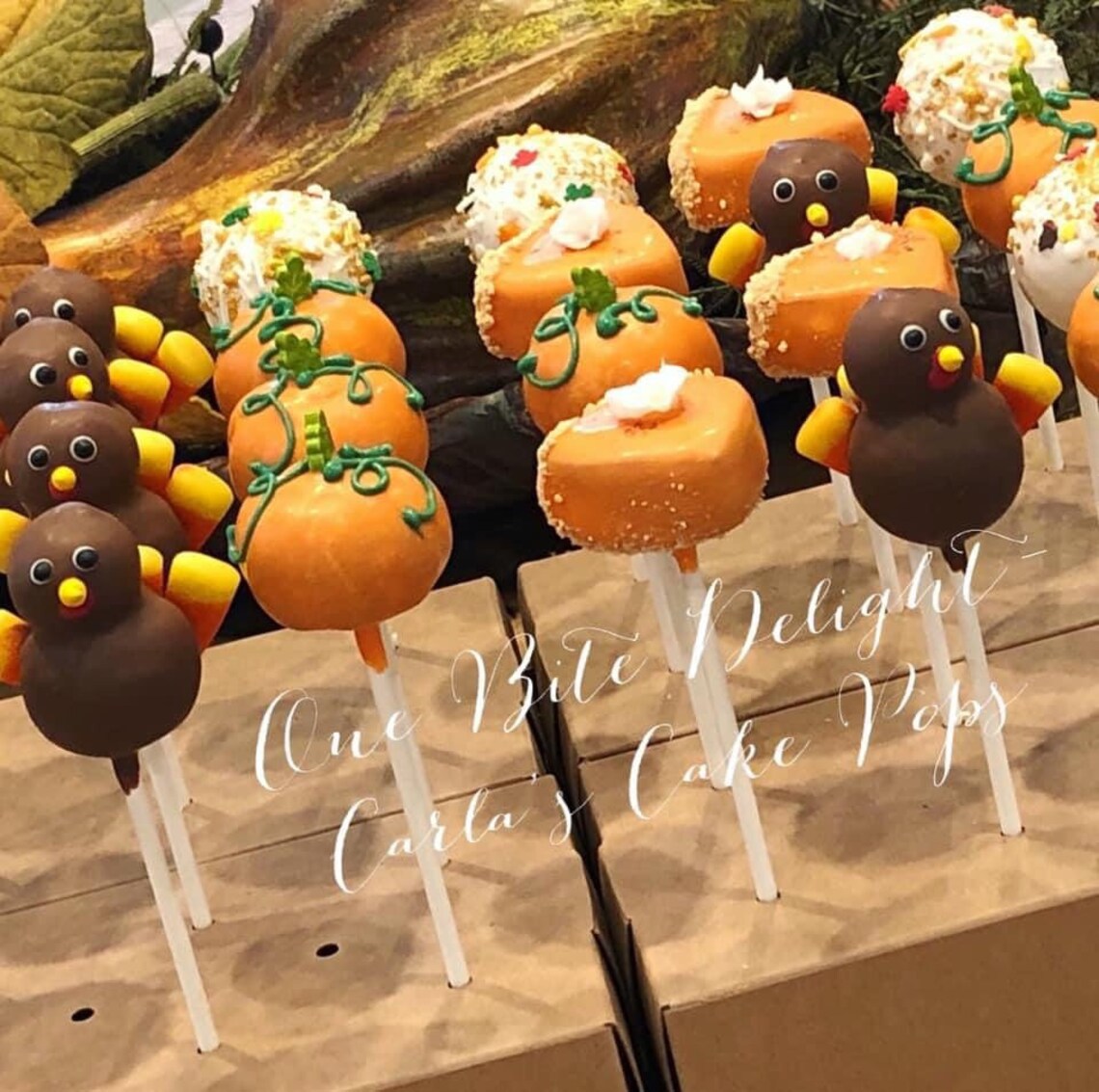 Thanksgiving Cake Pops 12 Pops Individually Wrapped - Etsy