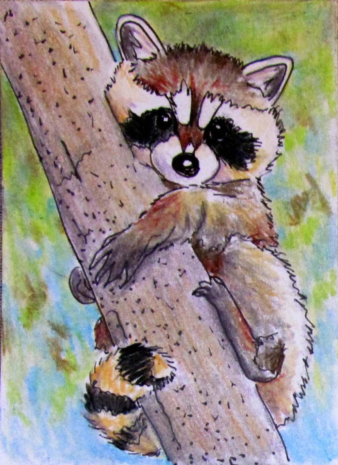 Raccoon in Tree Print of Original Drawing Animal Art Title - Etsy