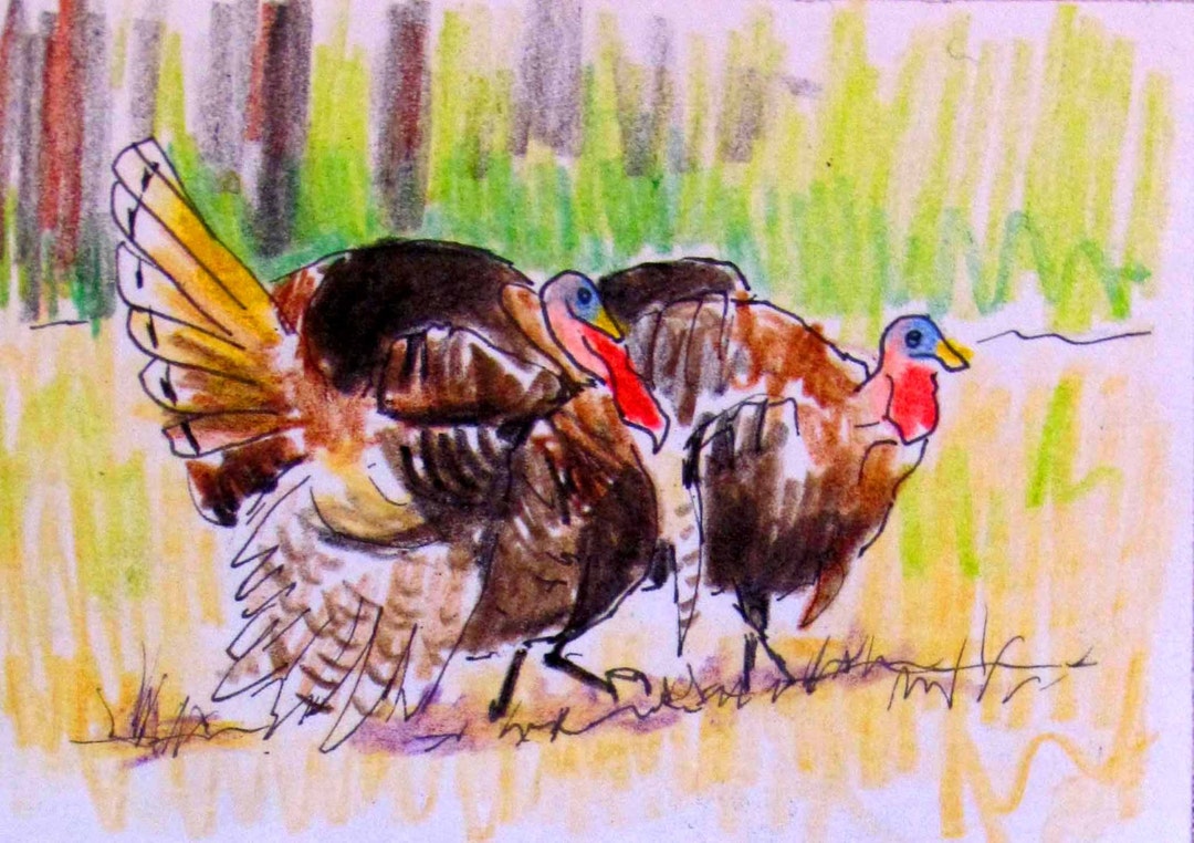 Turkeys, Wildlife Art, Print of Original Painting, Bird Art, Colored ...
