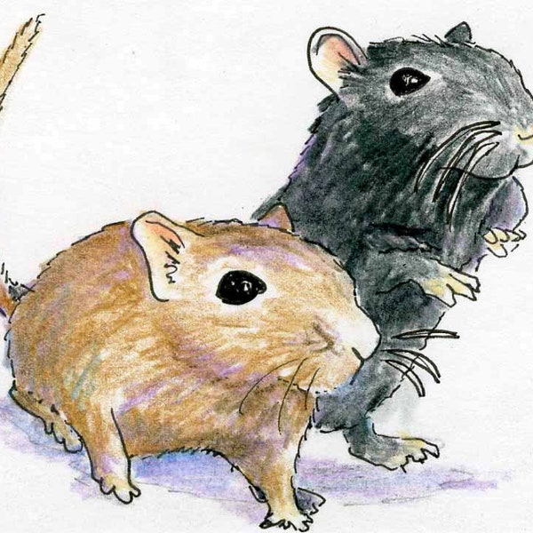 Gerbil Drawing - Etsy