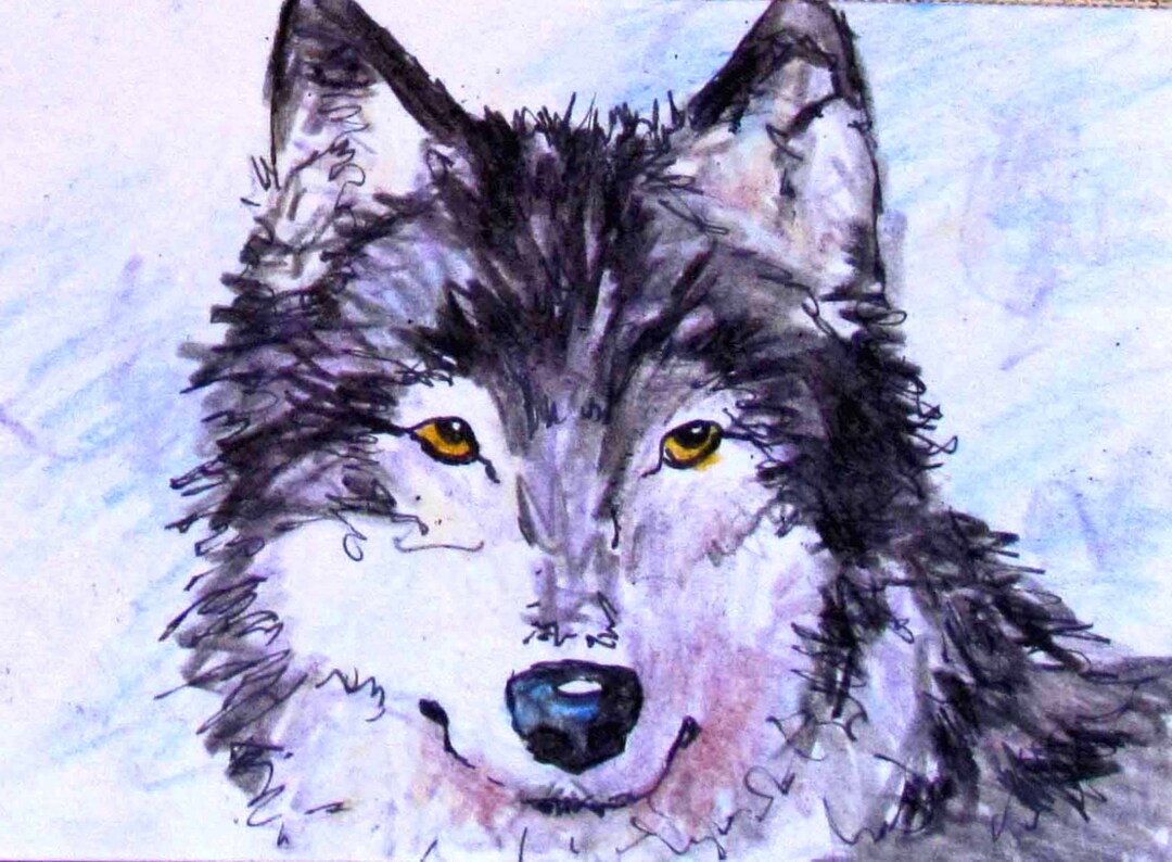 Wolves, Wildlife Art, Print of Original Drawing, Animal Art, Title- in ...