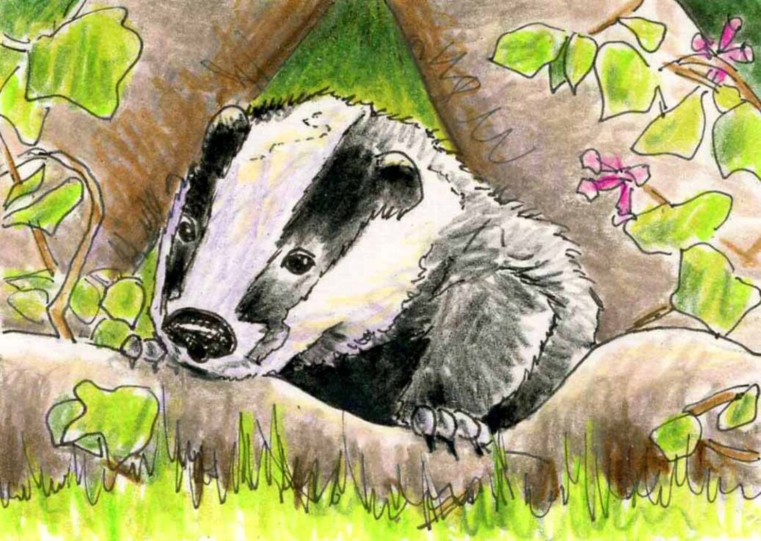 Tejón, Arte de la vida silvestre, impresión del dibujo original, arte ...