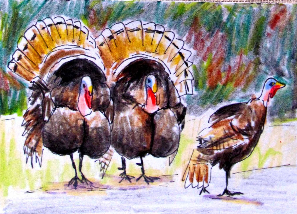 Turkeys Wildlife Art Print of Original Painting Bird Art - Etsy