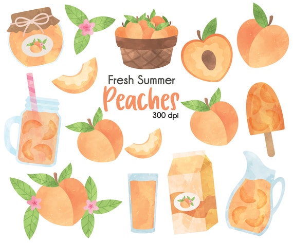 Peach Fruit Clip Art