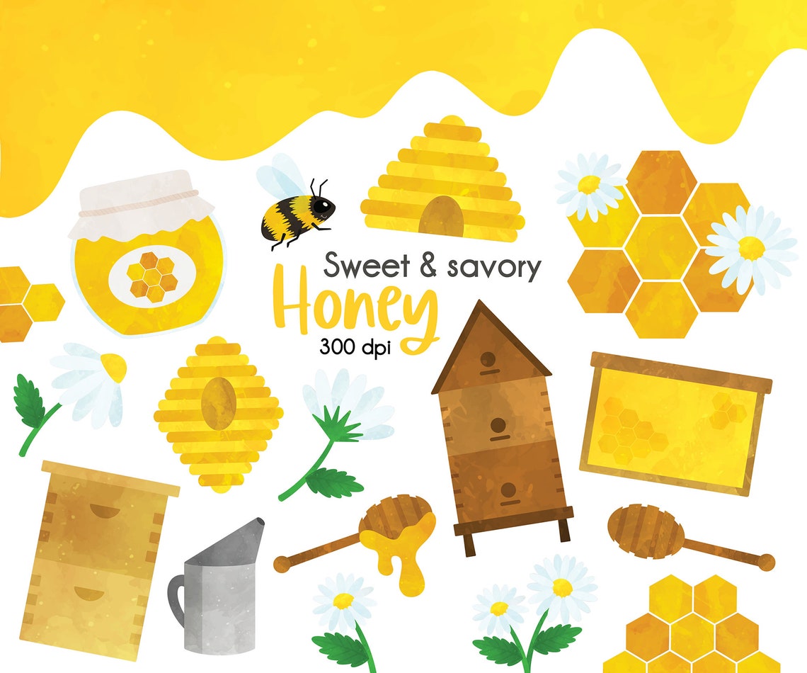Honey Clipart Bee Keeping Clipart Honey Comb Clipart Daisy - Etsy Canada