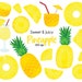 Pineapple Clipart PNG, Tropical Fruit Pineapple Graphics Bundle, Cute ...