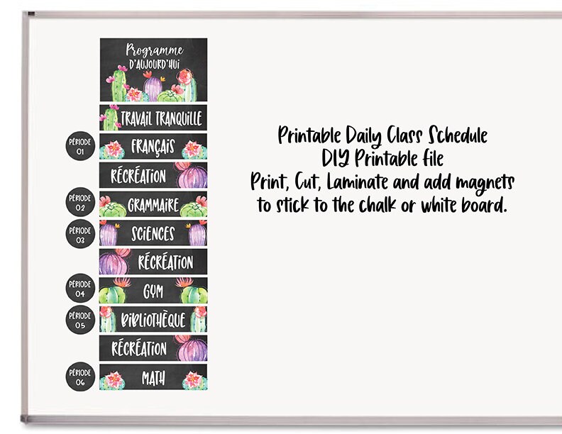 FRENCH Classroom Schedule PRINTABLE , Cactus Themed Classroom, Visual ...