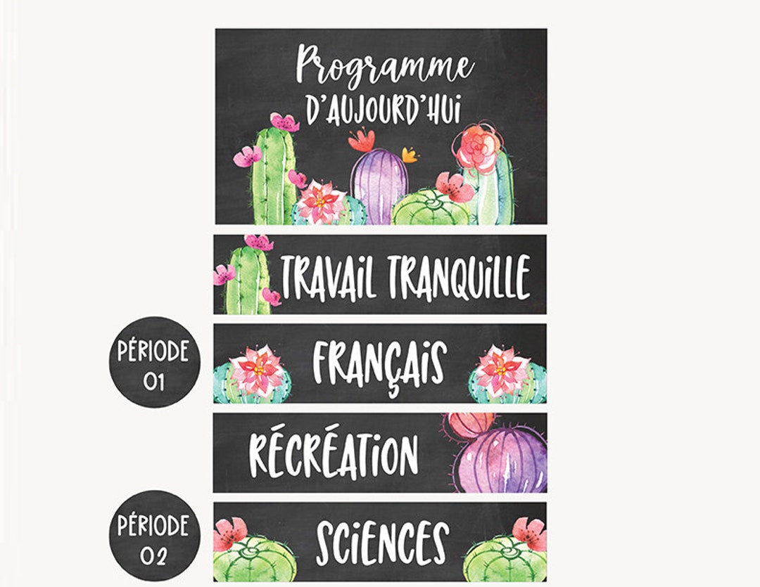 FRENCH Classroom Schedule PRINTABLE , Cactus Themed Classroom, Visual ...
