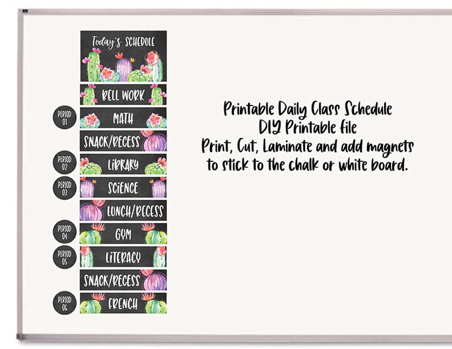 PRINTABLE Classroom Schedule Cactus Themed Classroom Visual | Etsy